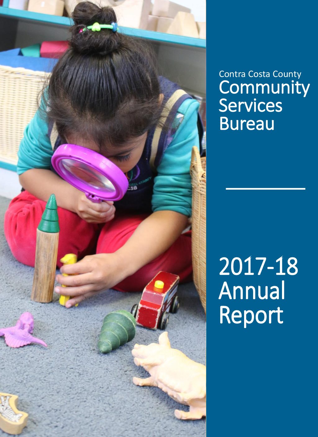 Rapport annuel CSB-2017-18 FINAL au 8 01 2018 | EHSD