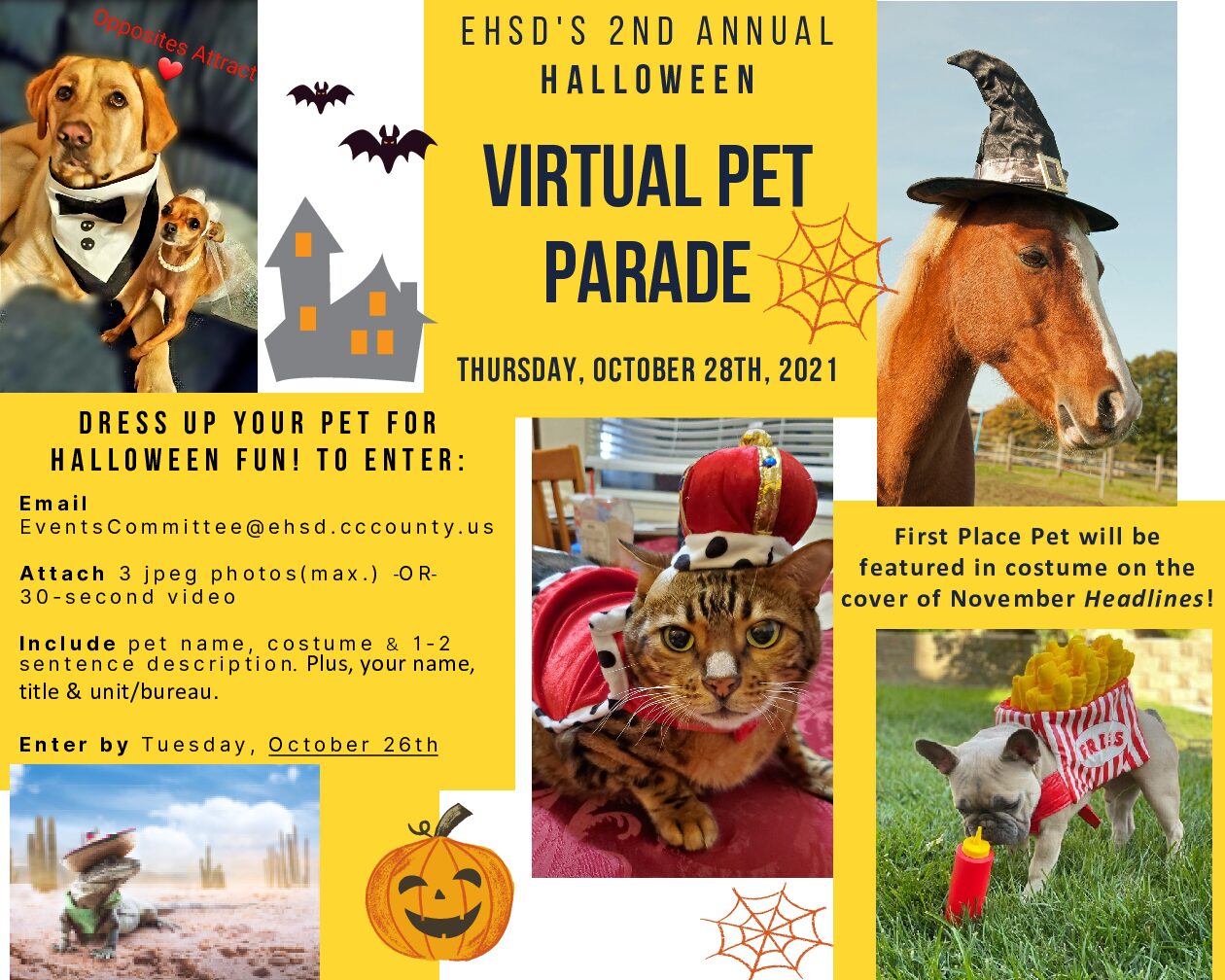 Anuncio de Halloween ¡El 2.º DESFILE ANUAL DE MASCOTAS VIRTUAL de EHSD ...